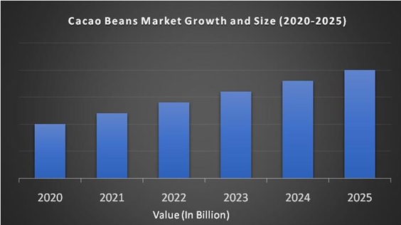 Cacao Beans Market Size, Growth, Share, Trends | 2023-2028