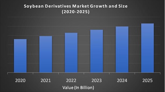 Soybean Derivatives Market Size, Growth, Share | 2024 to 2029