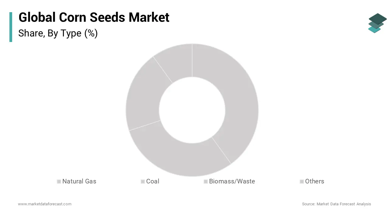 Corn Seed Market Size, Share, Trends & Growth Report, 2033