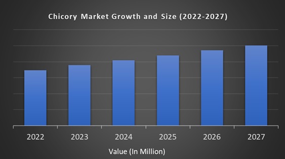 Chicory Market Size, Growth, Share, Trends | 2024 to 2029