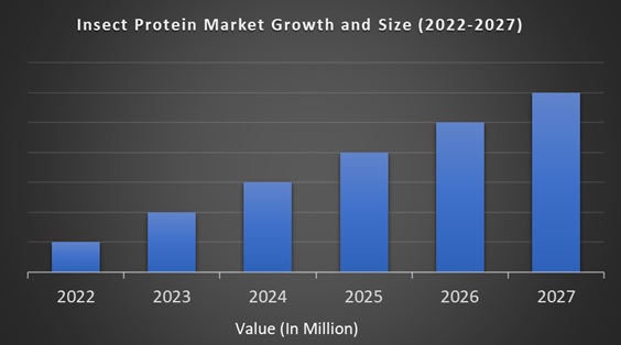 Insect Protein Market Size, Growth, Share, Trends | 2023-2028