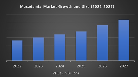 Macadamia Market Size, Growth, Share, Trends | 2023-2028