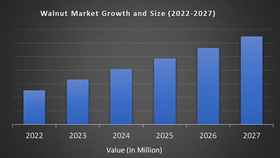 Walnut Market Growth, Size, Share, Trends and Forecast to 2028